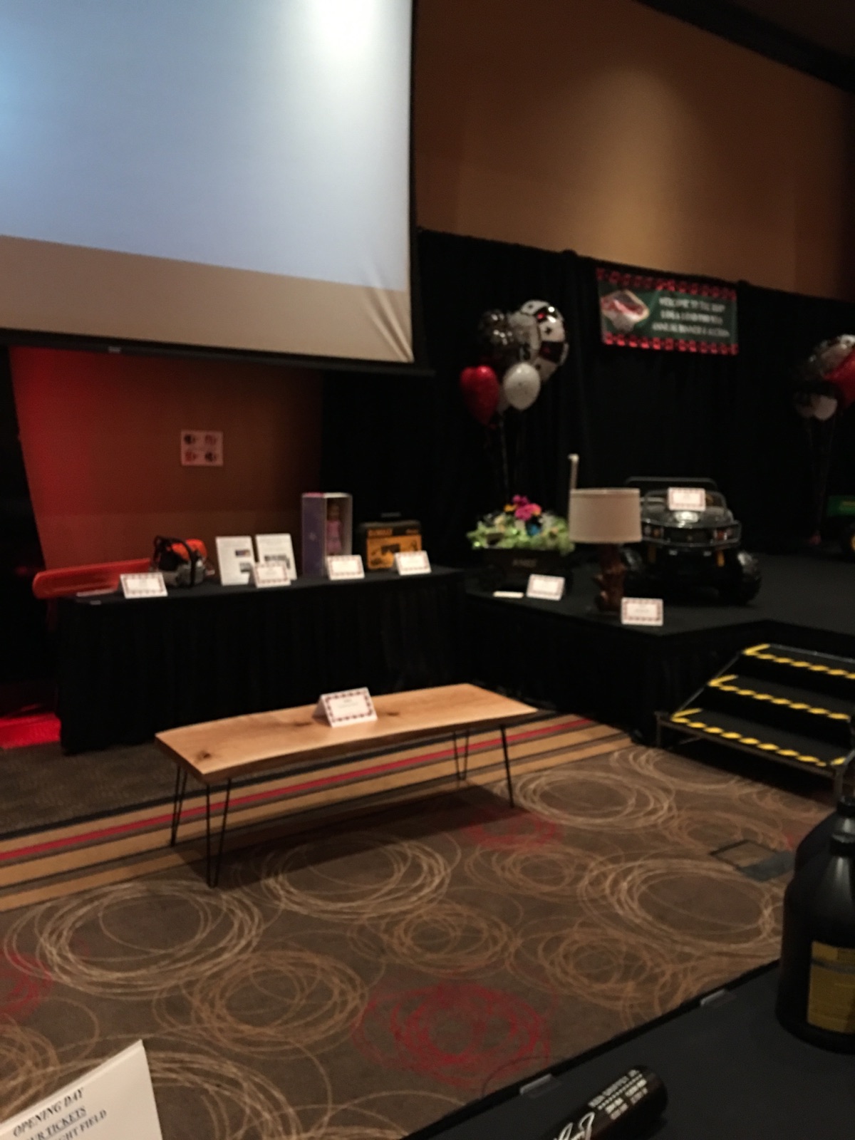 2017 20th Annual Dinner & Auction HUGE Success – Log a Load for Kids